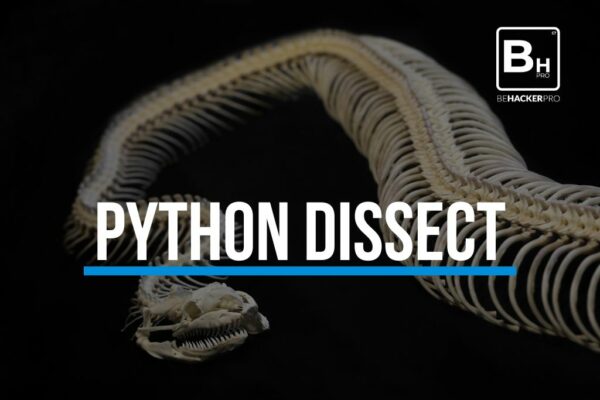 ¿qué Es Y Cómo Funciona Pythondissect Behackerproemk 6466